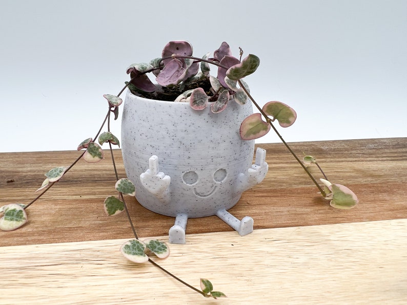 Middle Finger Happy Planter in ALL Colors Kawaii Planter - Etsy