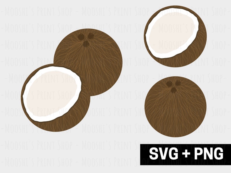 Coconut Fruit Clipart Bundle, Sweet Summer Tropical Fruit Slice ...