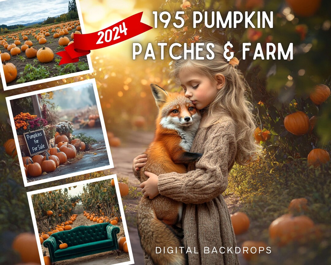 195 Pumpkin Patch Farm Digital Backdrops for Photographers, Scrapbook, Social Media, Sunset ...