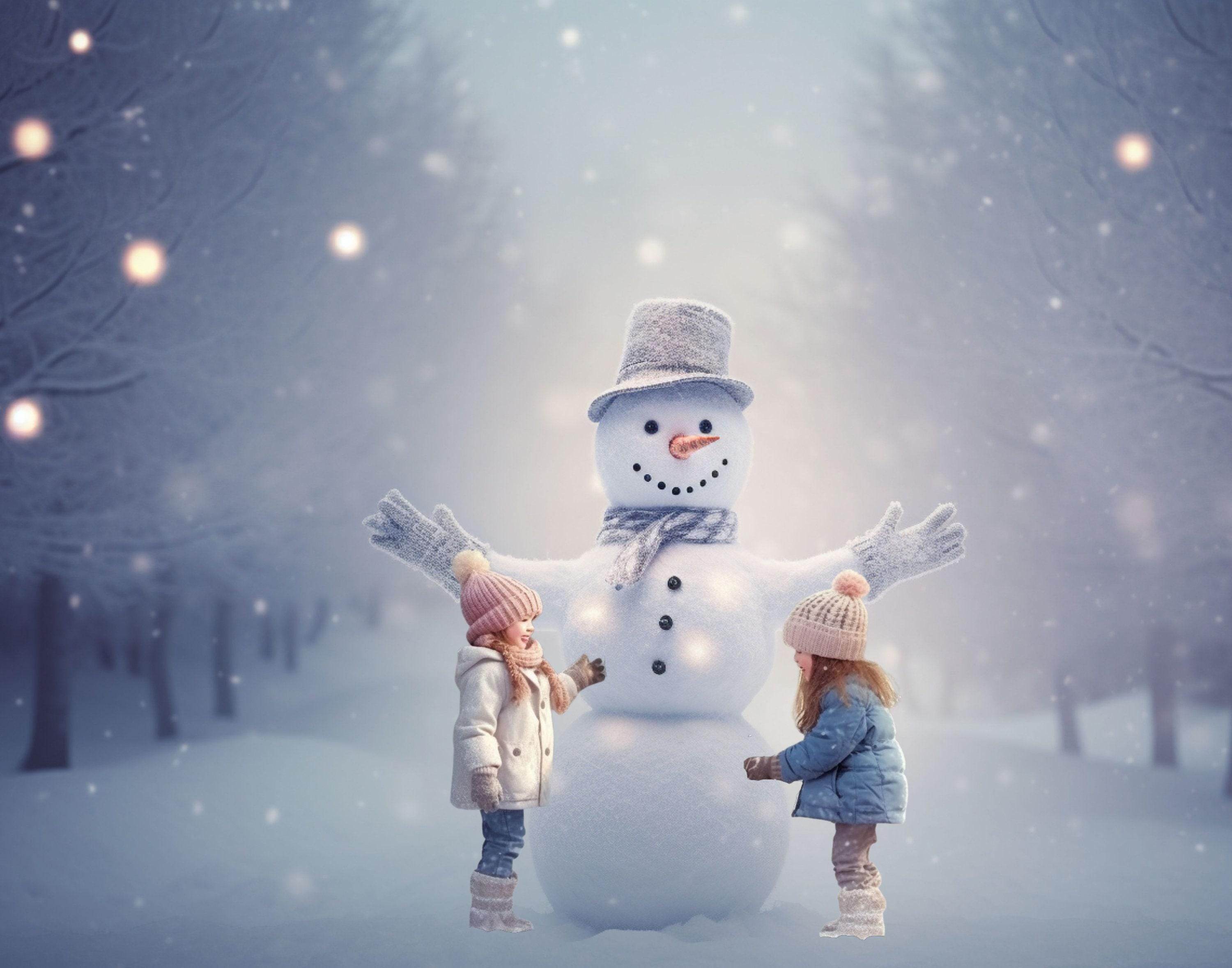 114 Snowman CG Digital Backdrops, Christmas Stock, Winter Background ...