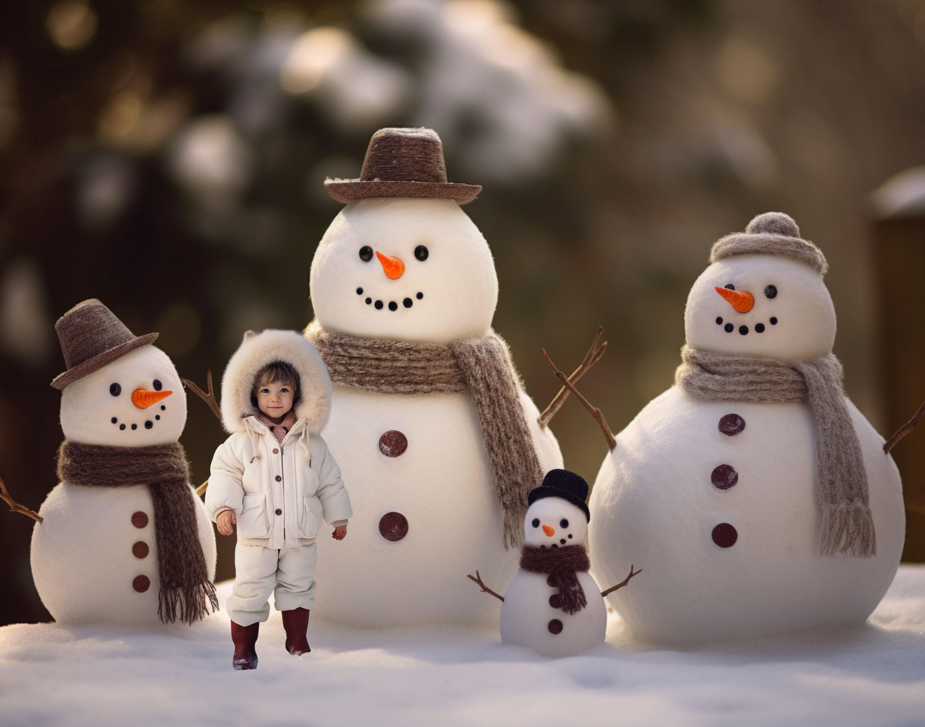 114 Snowman CG Digital Backdrops, Christmas Stock, Winter Background ...