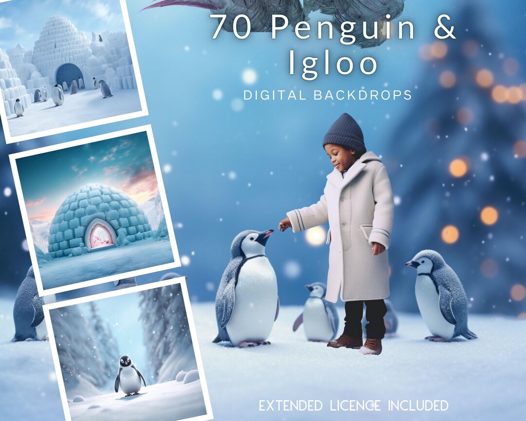 70 Penguin and Igloo CG Digital Backdrops, Baby Penguins, Holiday ...