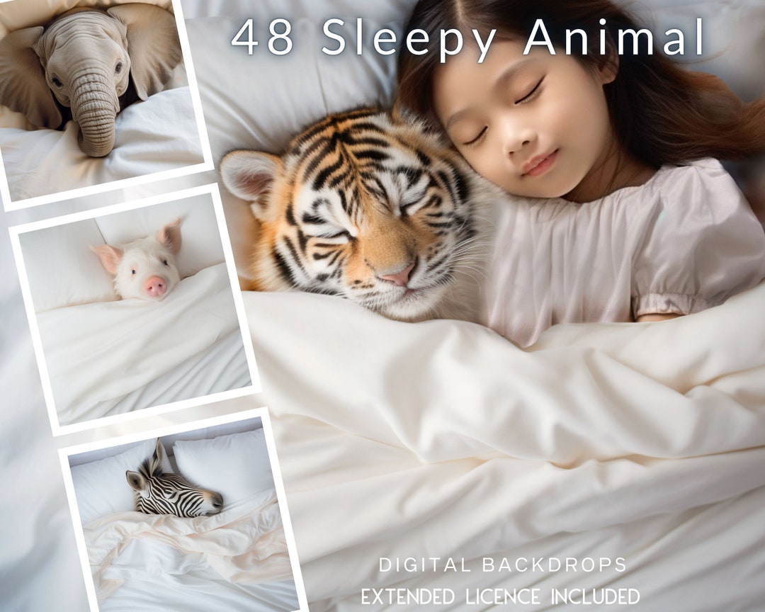 48 Baby Animals Snuggled in Bed Digital Backdrops, CG Backdrops, Baby ...