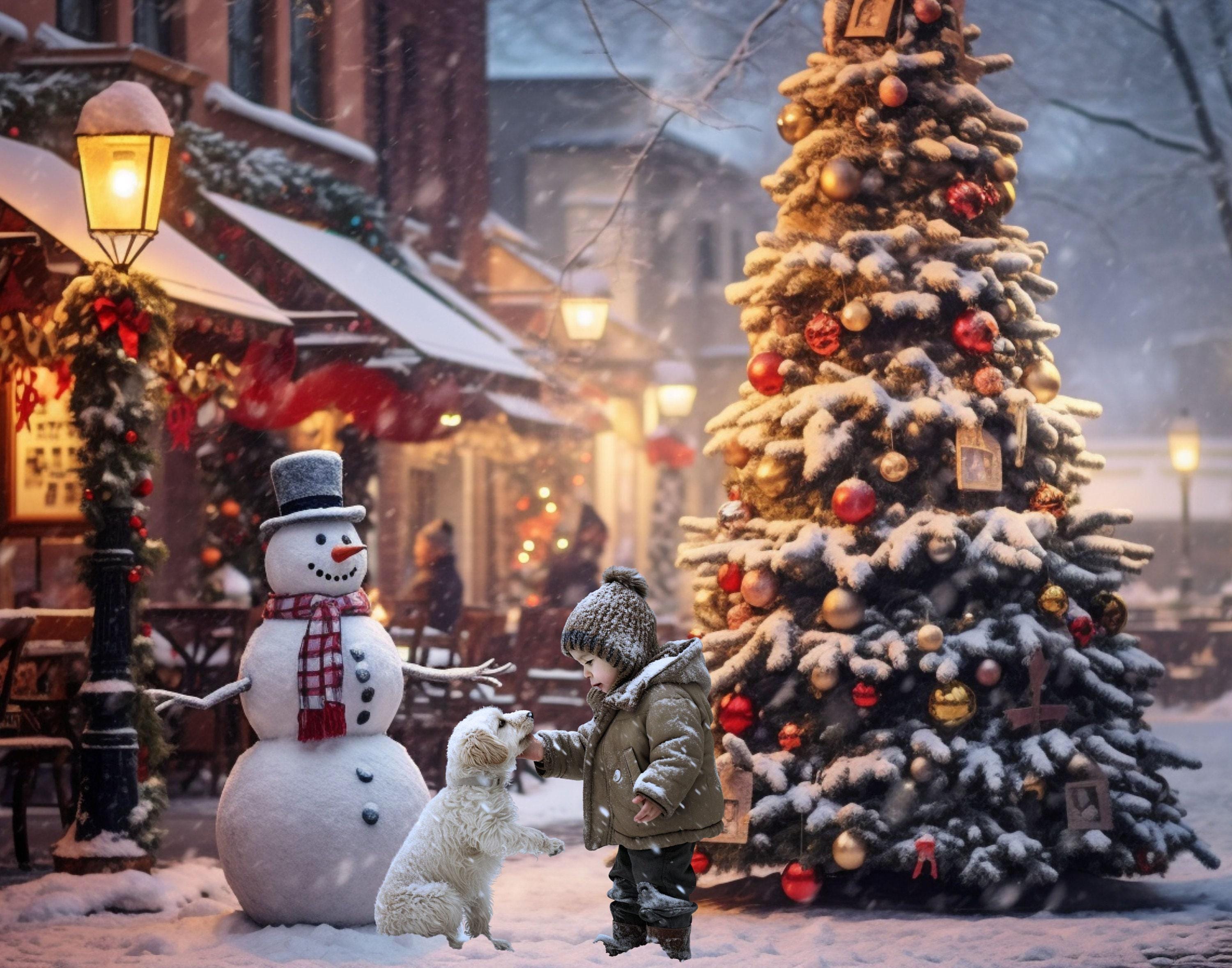 114 Snowman CG Digital Backdrops, Christmas Stock, Winter Background ...