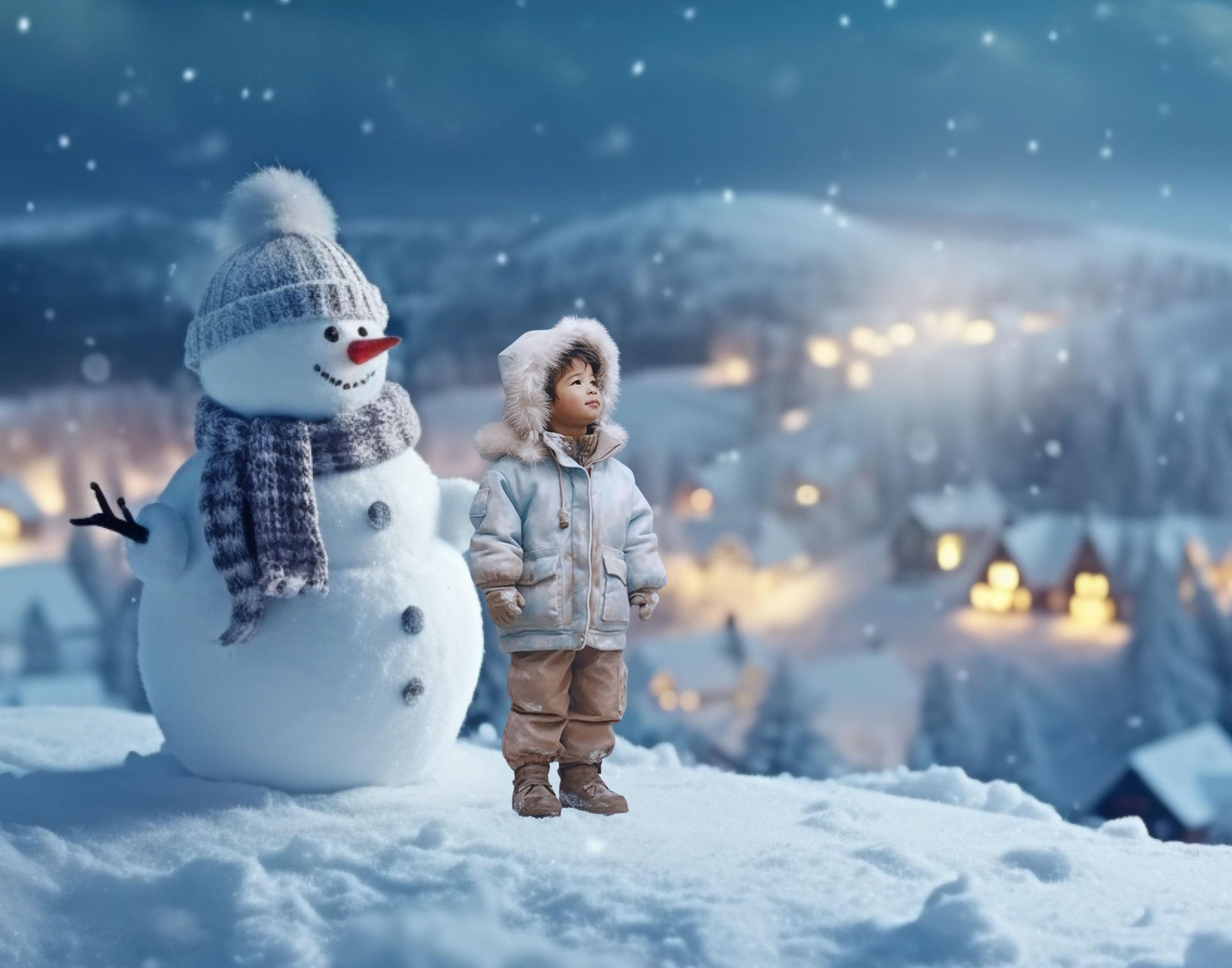 114 Snowman CG Digital Backdrops, Christmas Stock, Winter Background ...