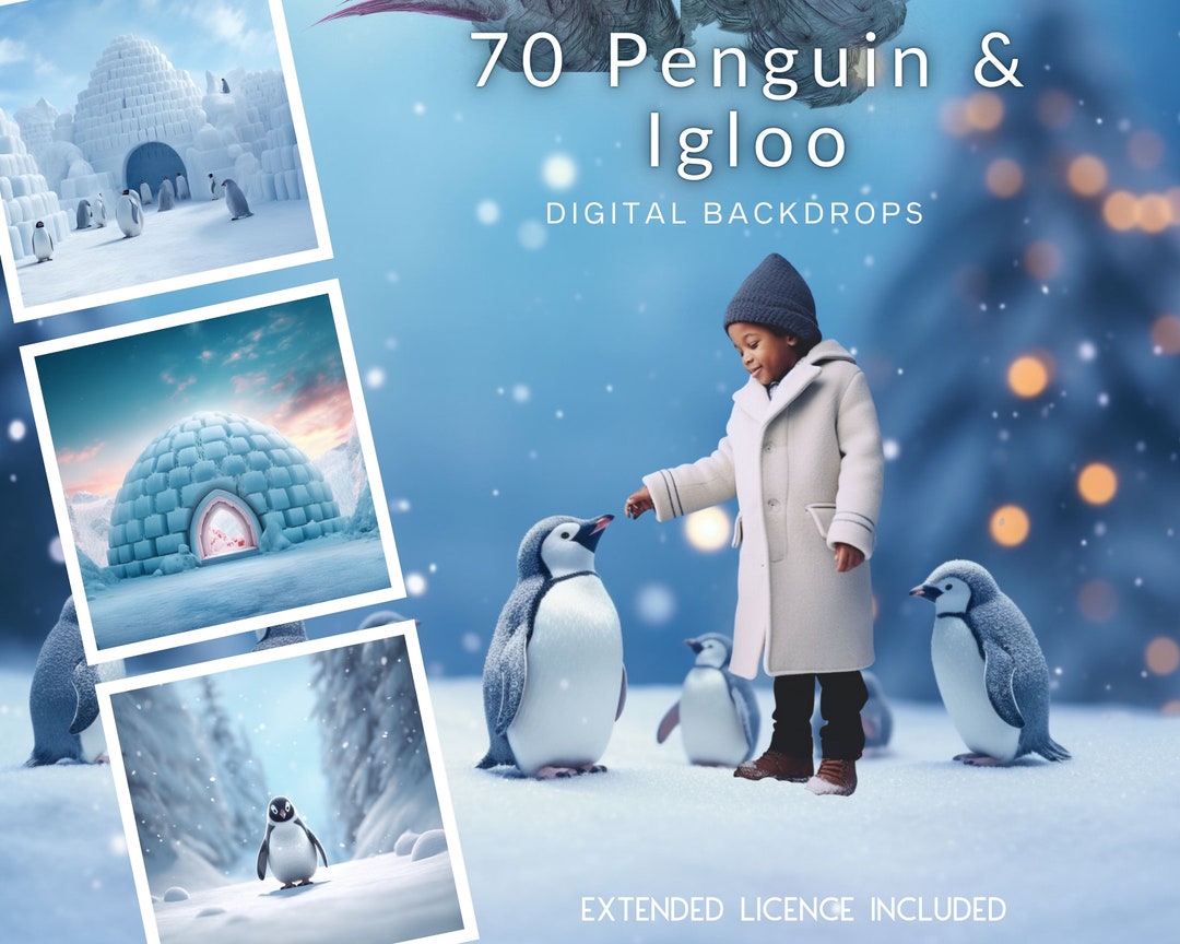 70 Penguin and Igloo CG Digital Backdrops, Baby Penguins, Holiday ...