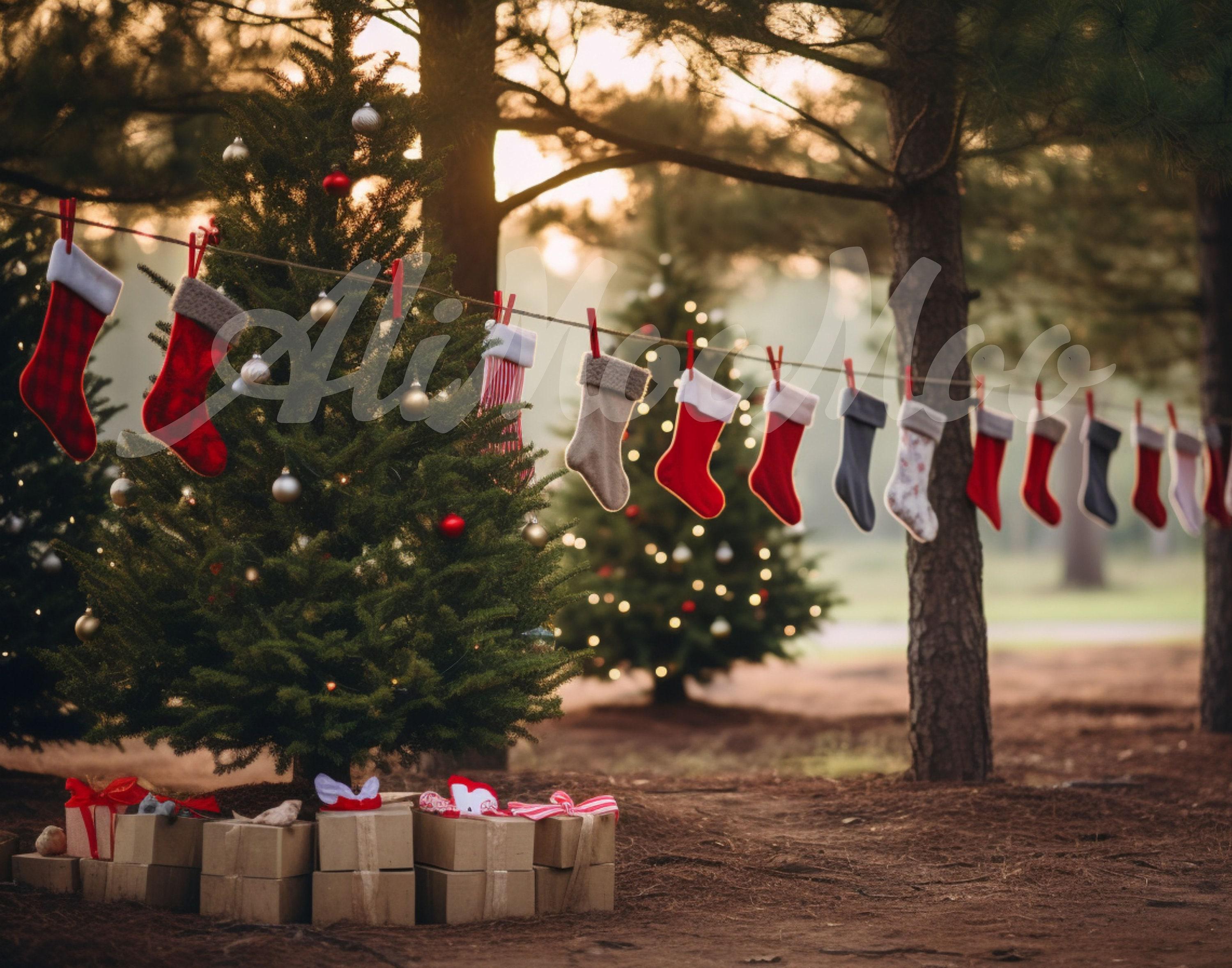 Stockings Hanging at a Tree Farm CG Digital Backdrop, Rustic Farm ...