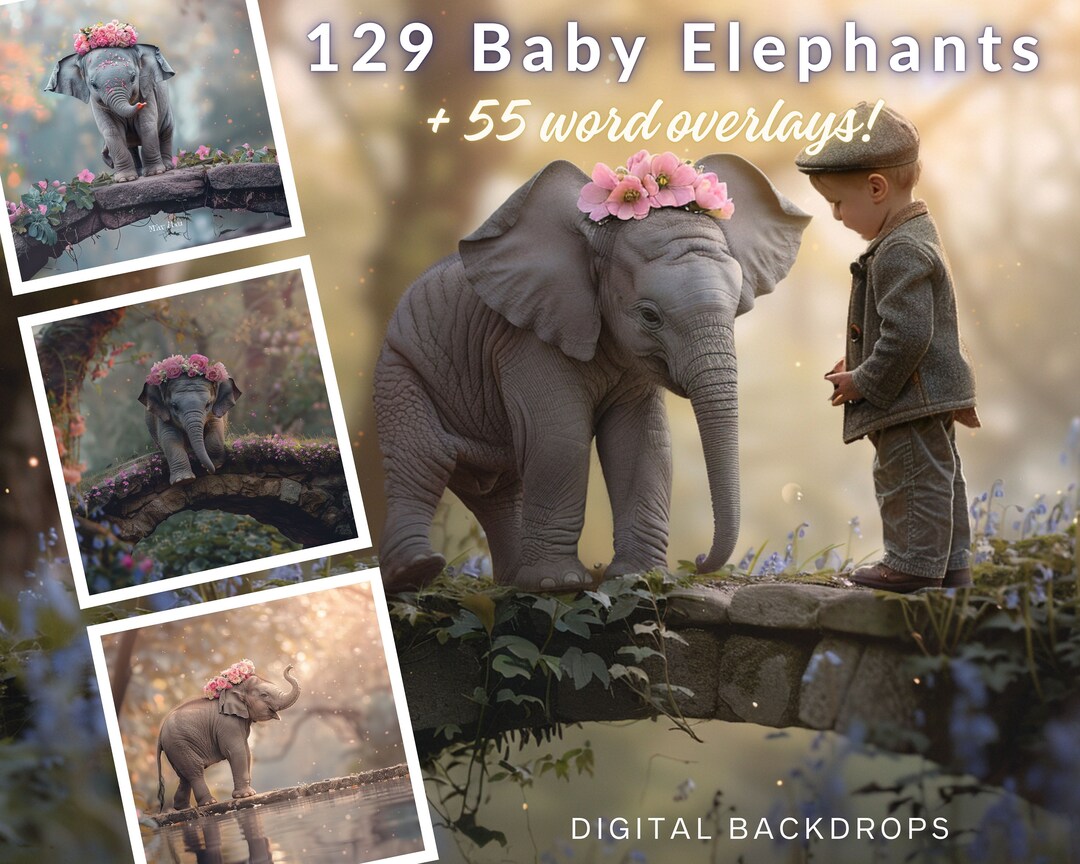 129 Adorable Baby Elephant Backdrops, CG Backdrops, Elephant Background ...