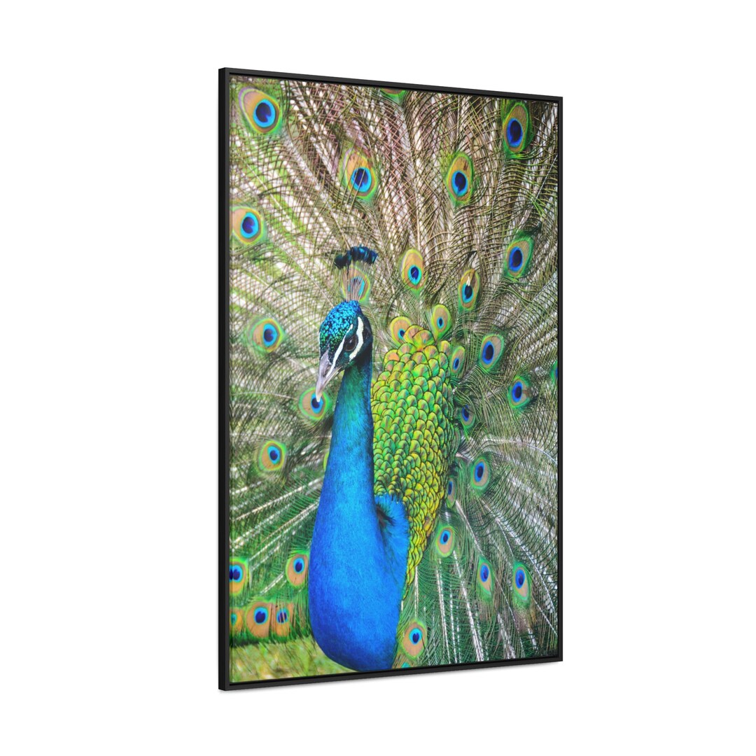Peacock Wall Art for Living Room, Colorful Nature Poster, Wildlife ...