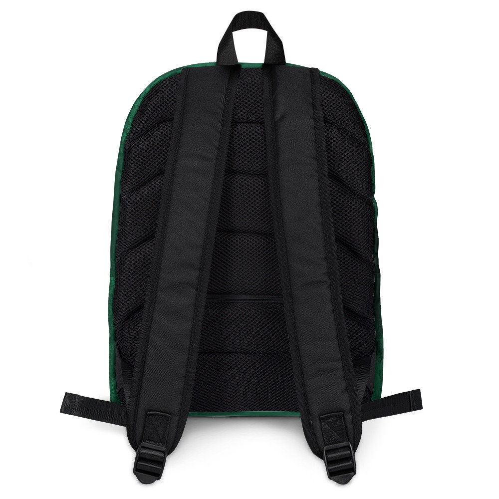 Backpack, Green School Backpack, School Bag, Back to School, Laptop ...