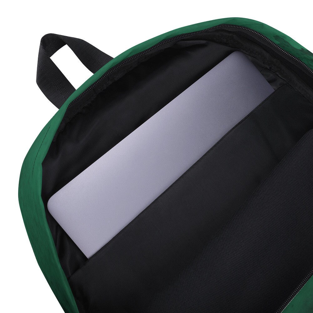 Backpack, Green School Backpack, School Bag, Back to School, Laptop ...