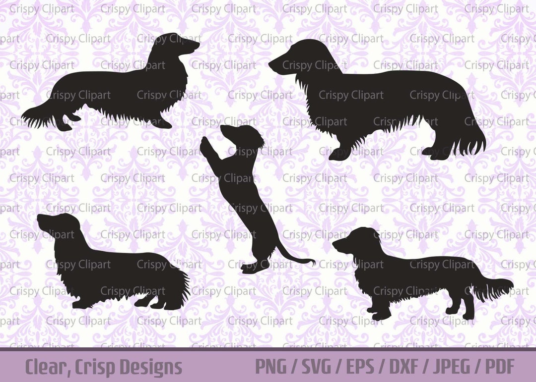 Dachshund SVG Bundle, Cute Long Hair Dachshund Silhouette Clipart ...