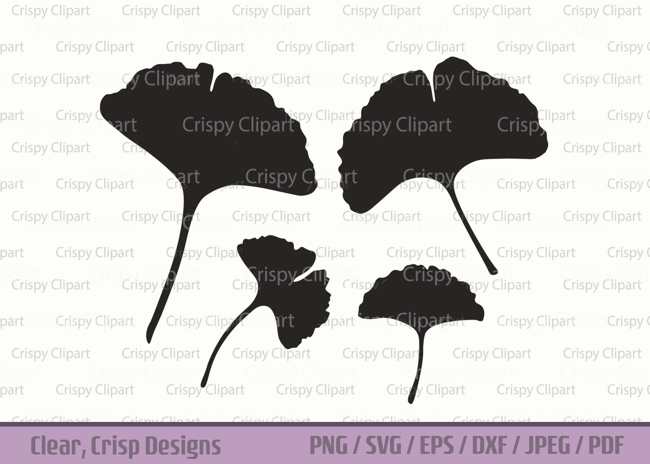 Ginkgo Leaves SVG, Ginkgo Biloba Leaf Cut File, Gingko Tree Leaf Vector ...