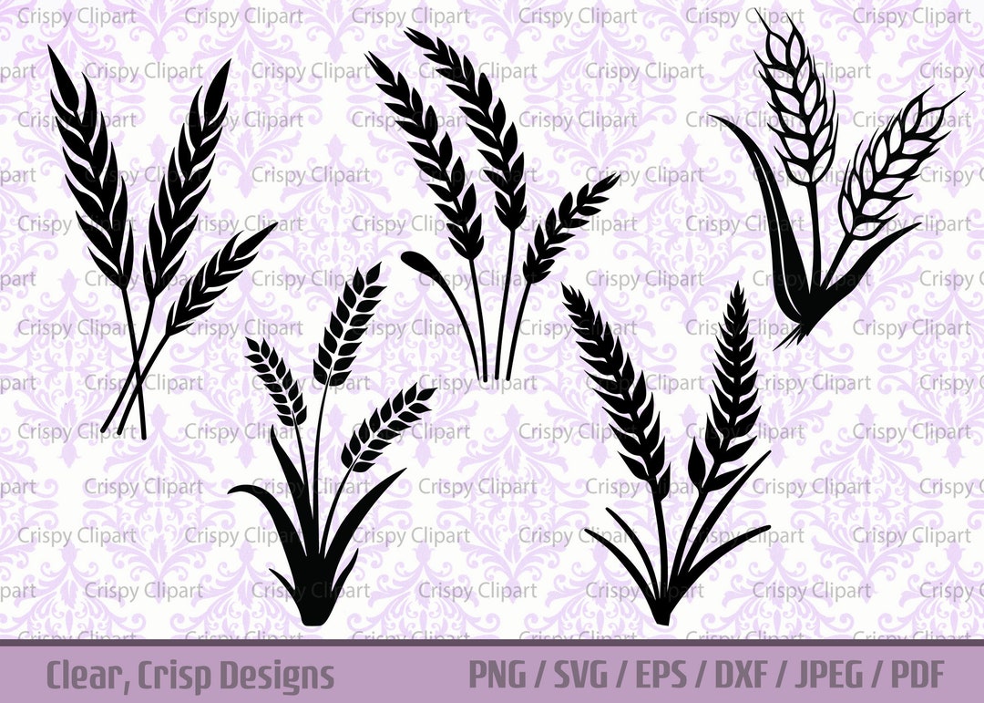 Wheat Stalk SVG, Grain Silhouette Clipart, Wheat Grass Cut File, Wheat ...