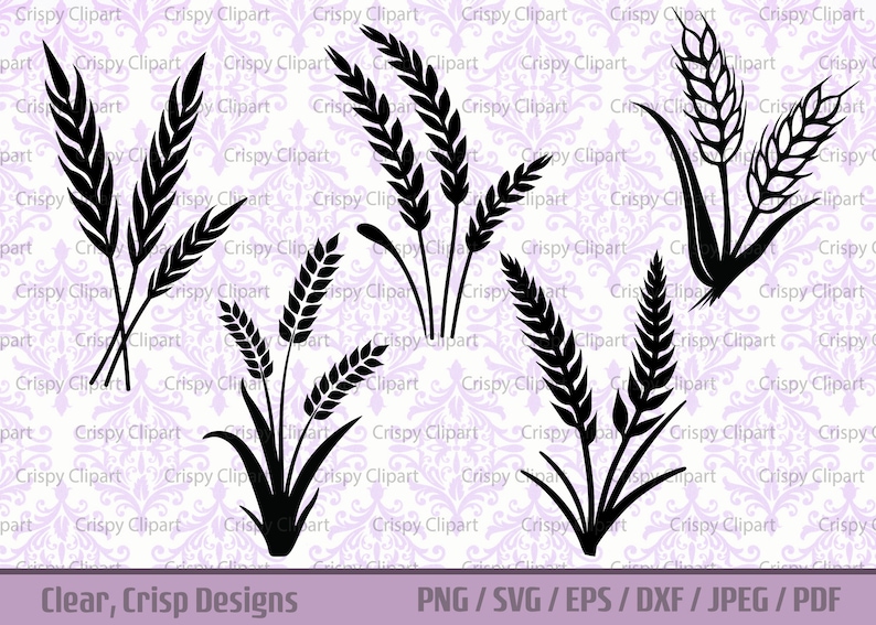 Wheat Stalk SVG, Grain Silhouette Clipart, Wheat Grass Cut File, Wheat ...
