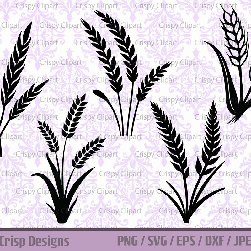 Wheat Svg - Etsy