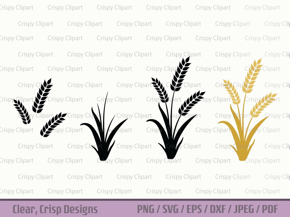 Wheat Clipart SVG Grain Silhouette Cut File Wheat (Download Now) - Etsy