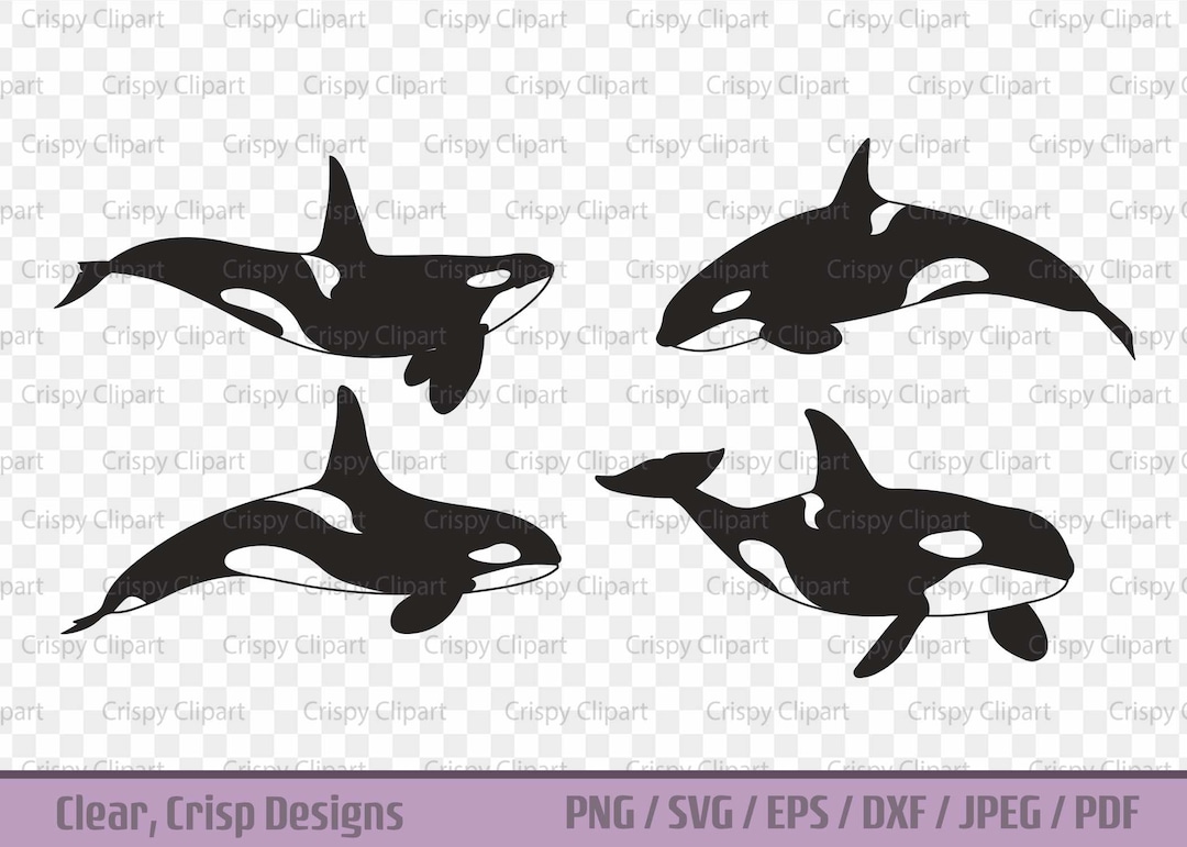 Orca SVG, Killer Whales Clipart, Marine Mammals Cut File, Ocean Life ...