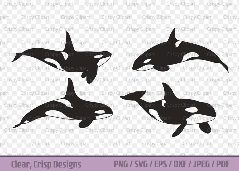 Orca SVG Killer Whales Clipart Marine Mammals Cut File - Etsy