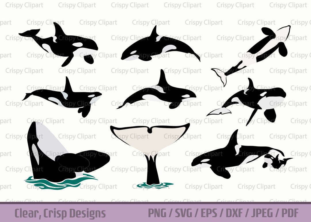 Orca SVG, Killer Whales Clipart, Marine Mammals Cut File, Ocean Life ...
