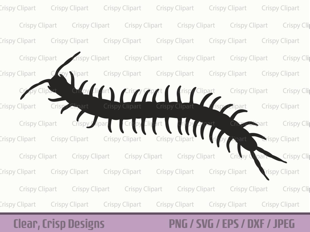 Centipede Silhouette Clipart Insects Bug Vector Art SVG Centipede Cut ...