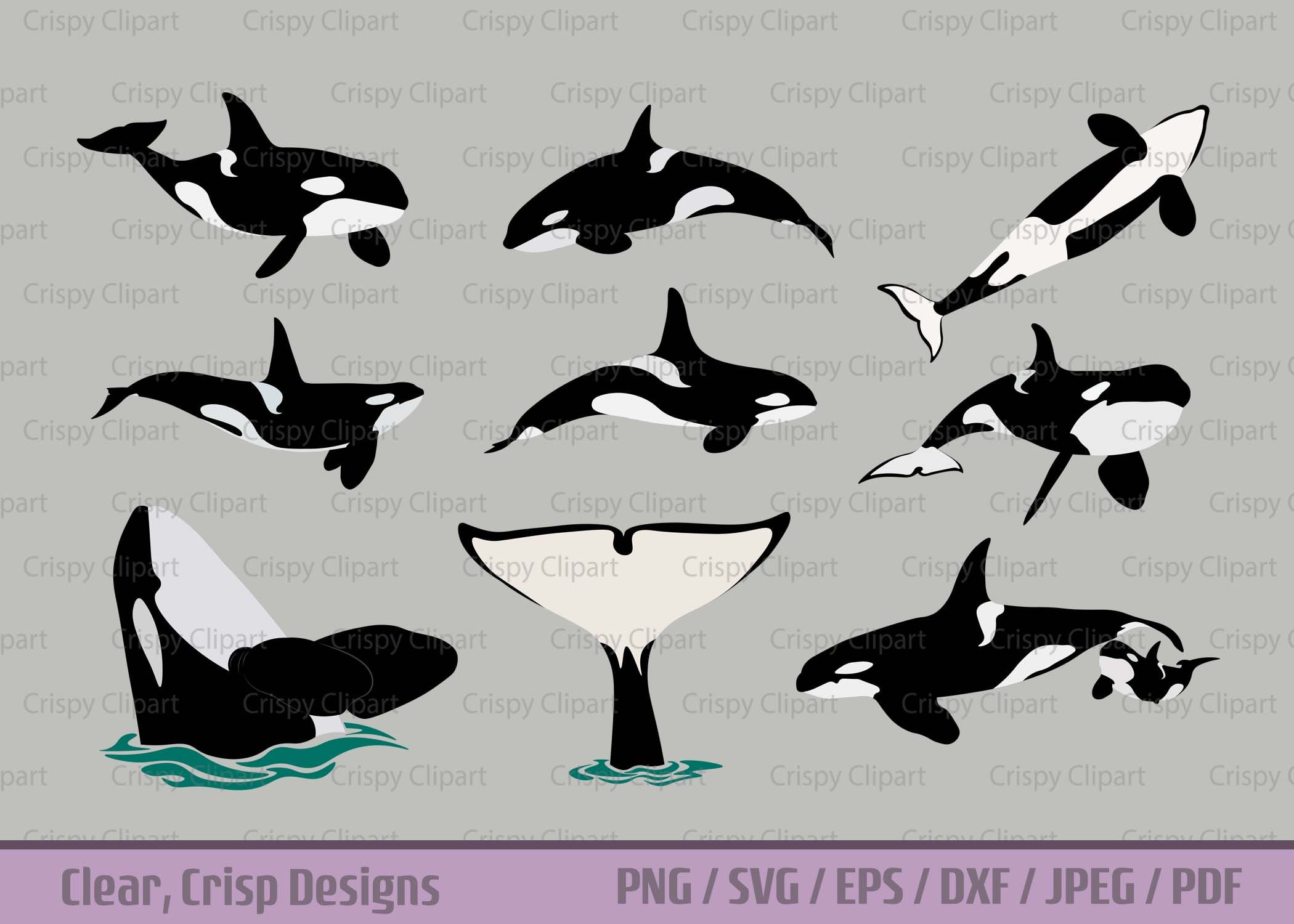 Orca SVG, Killer Whales Clipart, Marine Mammals Cut File, Ocean Life ...