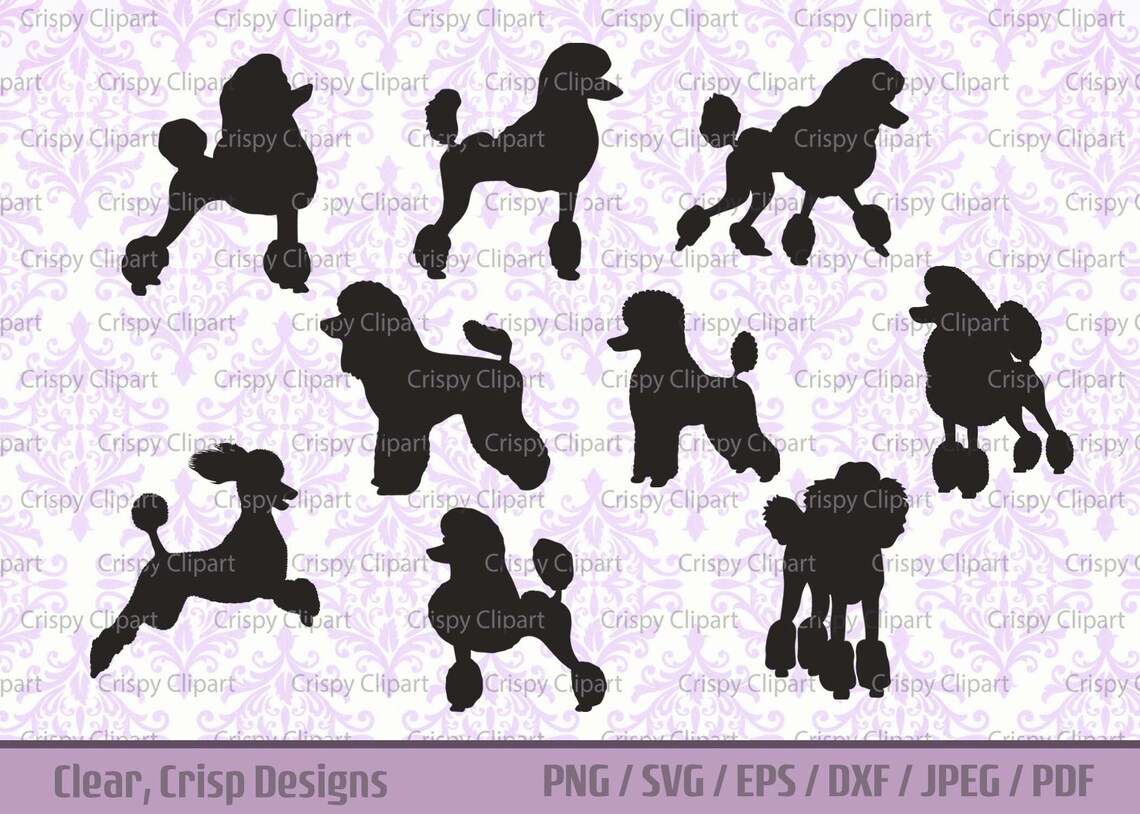 Poodle SVG Bundle, Standard Poodle Silhouette Cut File, Show Dog Vector ...