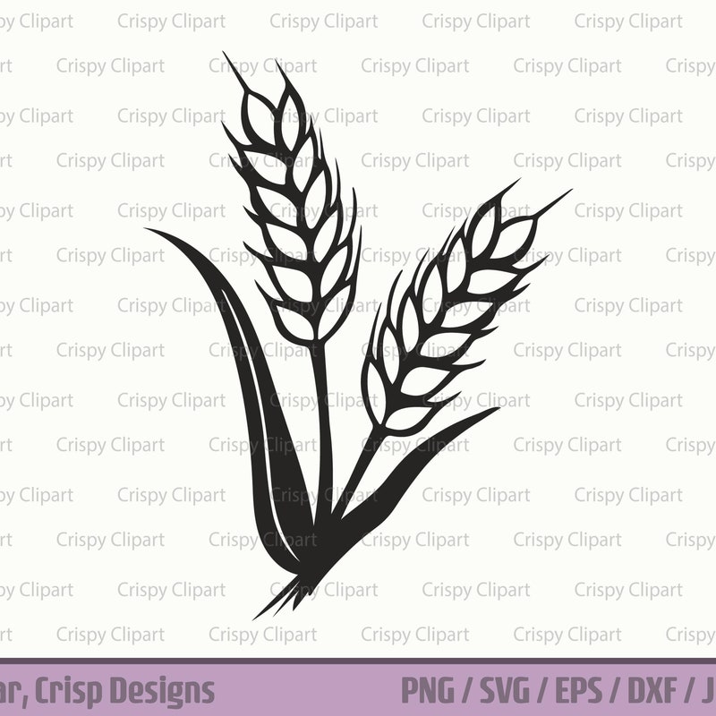 Wheat Svg - Etsy