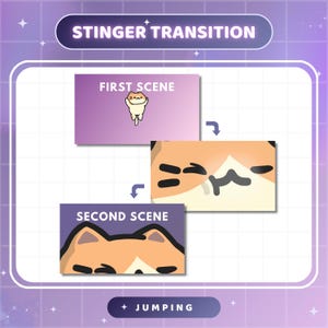 Orange Cat Twitch Stinger Transition, Animated Cream Kitty Change Scene ...