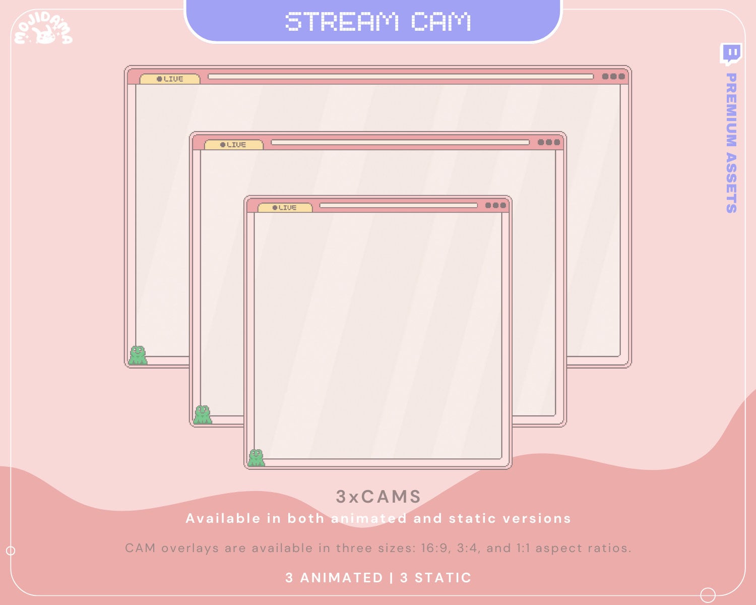 Frog Cam Stream Overlay Animation Blue Frame Twitch Studio Obs ...