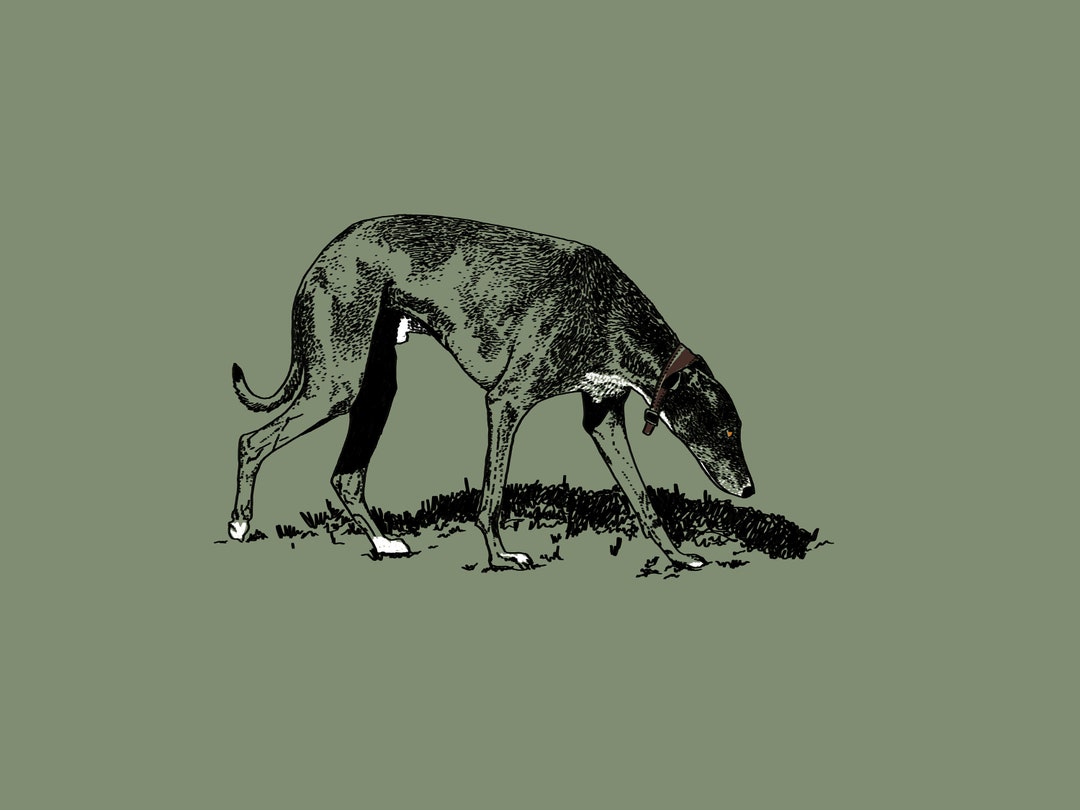 Whippet Printable Art - Etsy