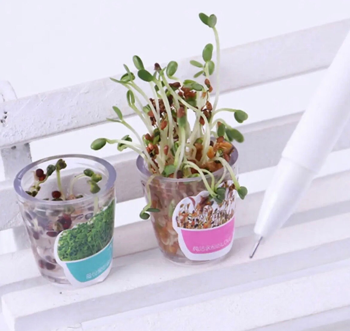 Mini Living Garden Pen Real Life Plant Gift School Office - Etsy