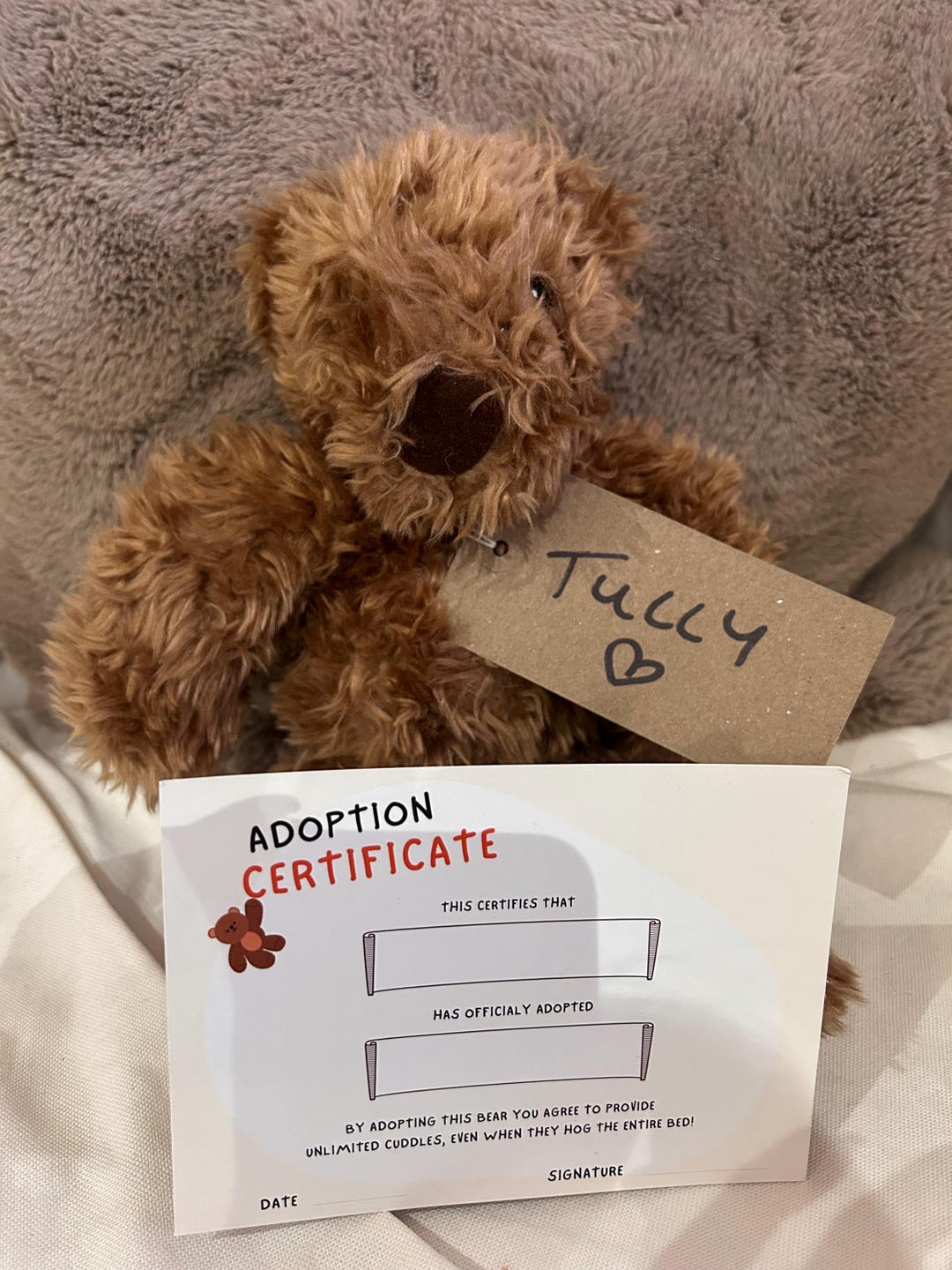 Adopt a Bear TULLY Needs a New Loving Home With Birth Certificate - Etsy UK