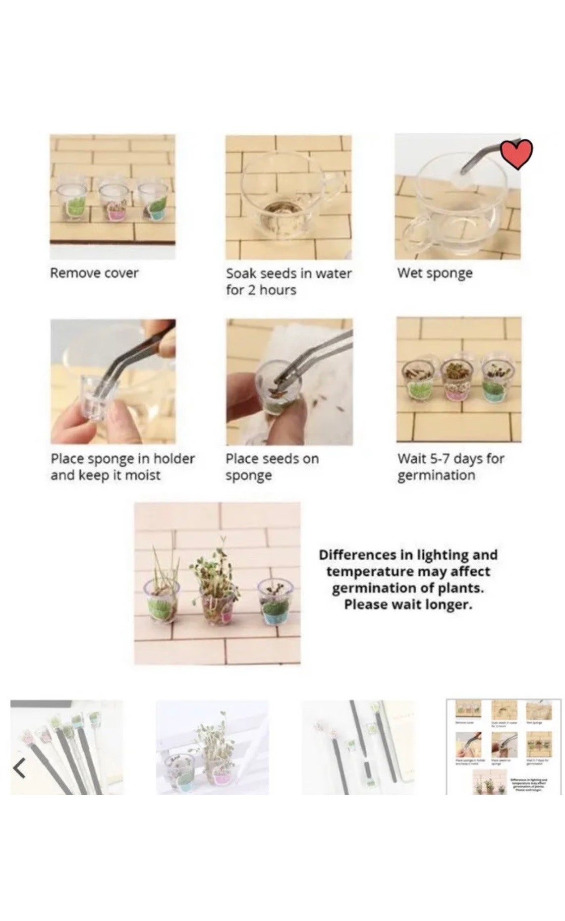 Mini Living Garden Pen Real Life Plant Gift School Office - Etsy