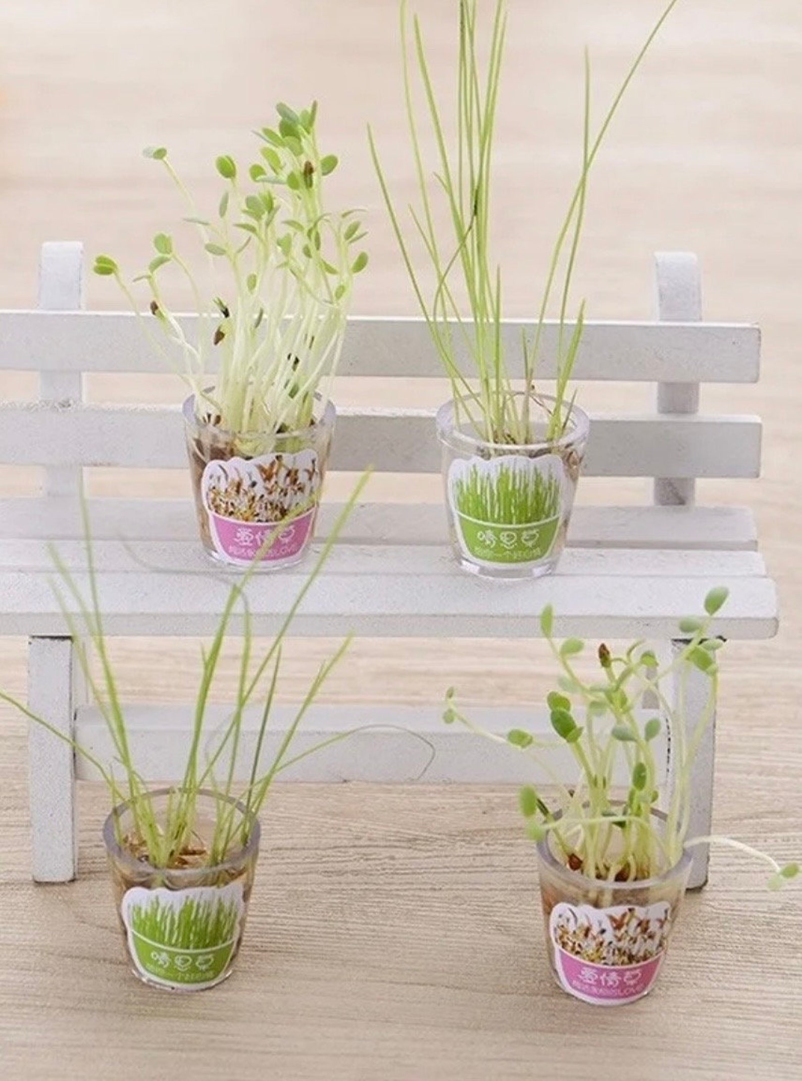 Mini Living Garden Pen Real Life Plant Gift School Office - Etsy