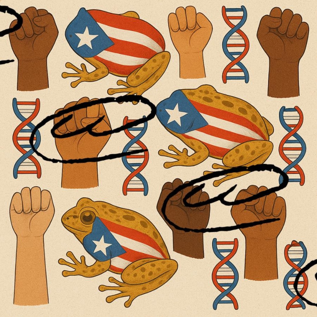 Puerto Rican Heritage Coquí Frog Seamless Pattern | Afro-latinx Pride ...