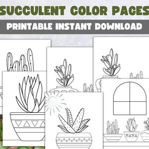 Succulent Coloring Pages, Simple Coloring Pages for Adults, Minimalist ...