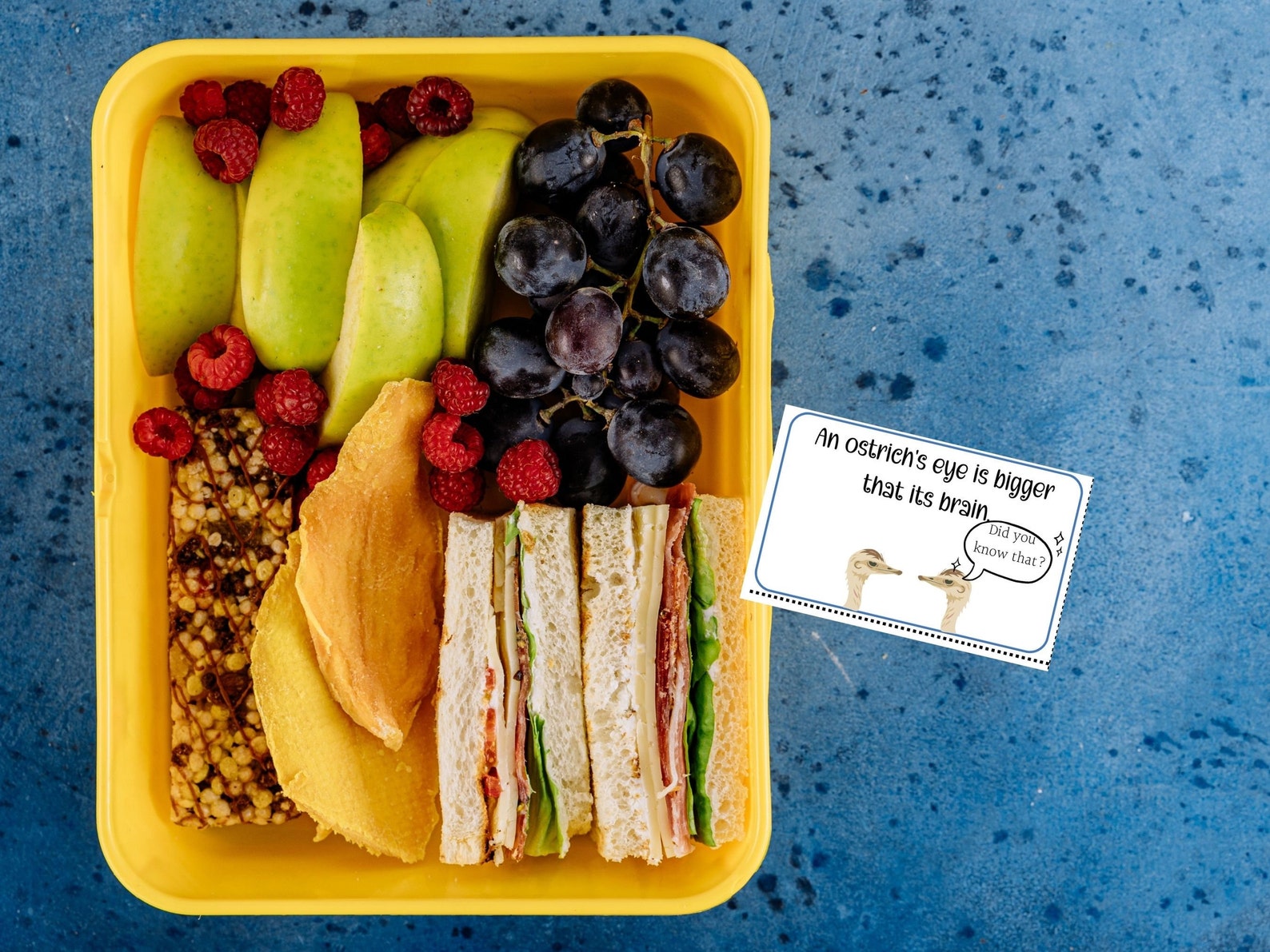 Lunch Notes for Kids Printable Lunchbox Notes Jokes and Fun - Etsy