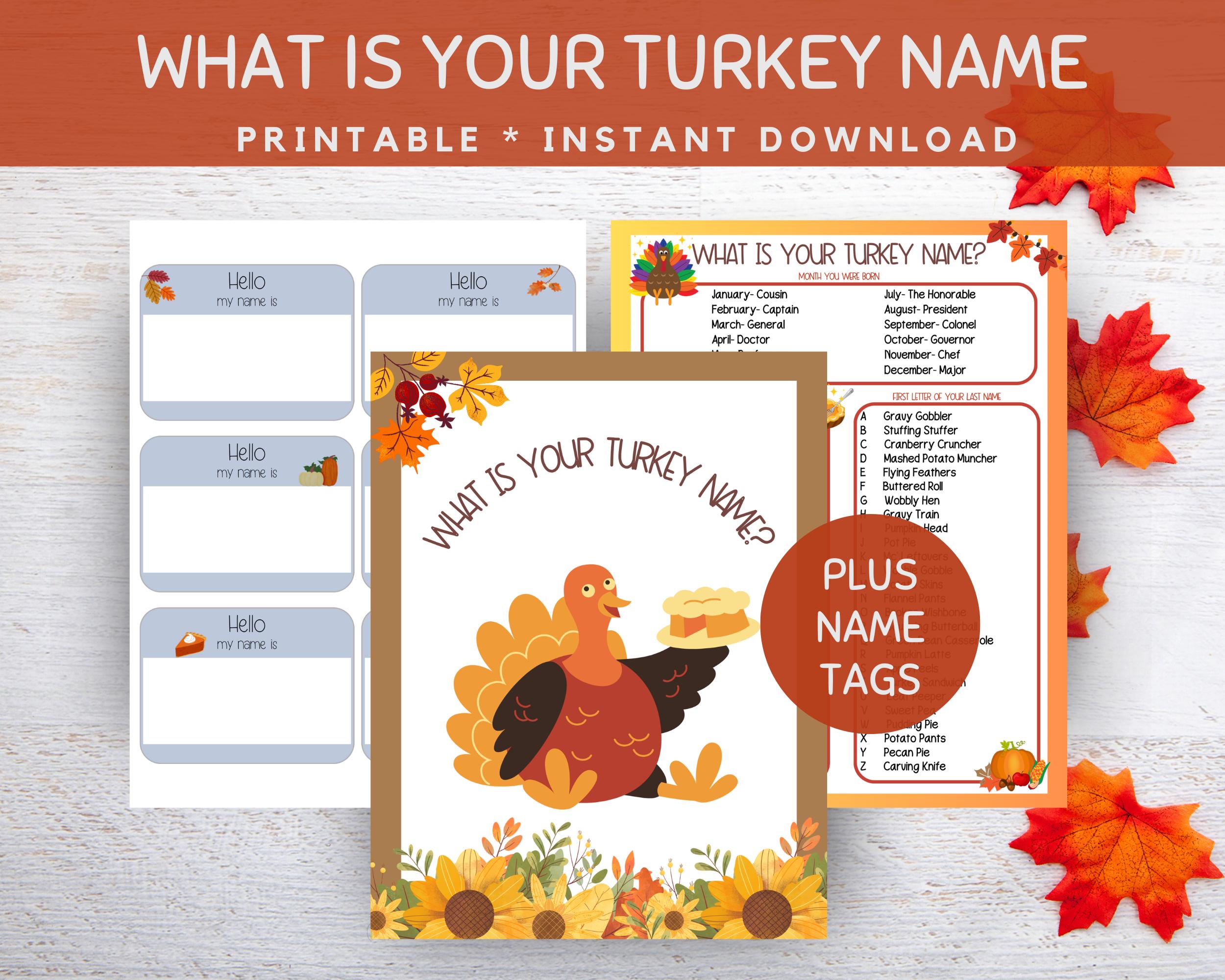 Thanksgiving Turkey Name Generator, What is Your Turkey Name ...