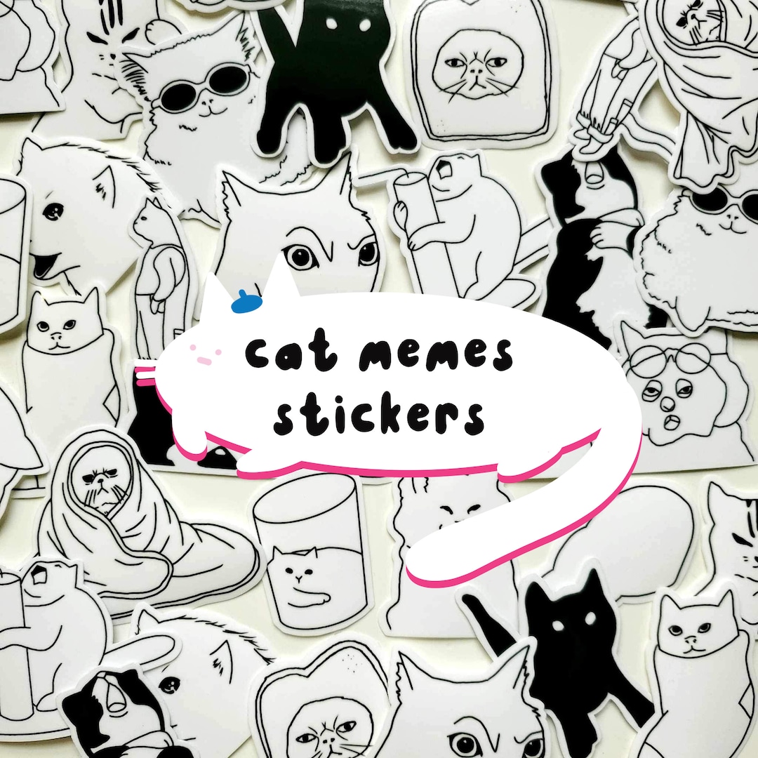 Cat Memes Vinyl Sticker Funny Stickers, Laptop Stickers - Etsy