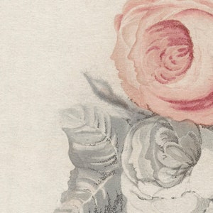 Vintage Botanical Drawing | Antique Rustic Rose Painting | Floral Plant ...