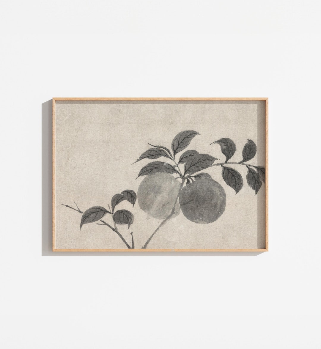 Vintage Botanical Wall Art | Antique Branch Fruit Drawing | Apple ...