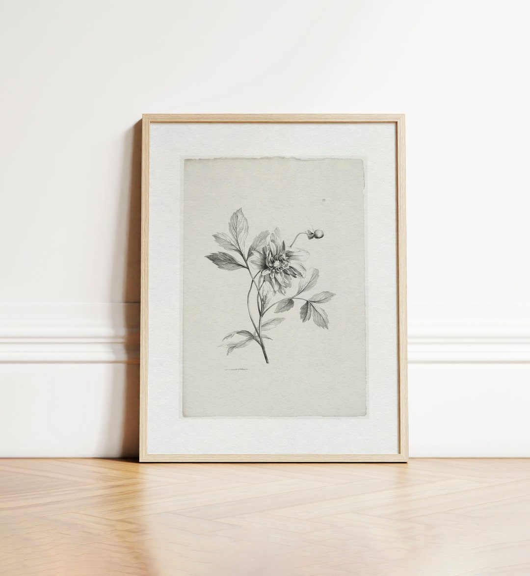Vintage Botanical Sketch Art Vintage Floral Sketch Neutral - Etsy