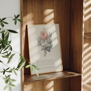 Vintage Botanical Drawing | Antique Rustic Rose Painting | Floral Plant ...