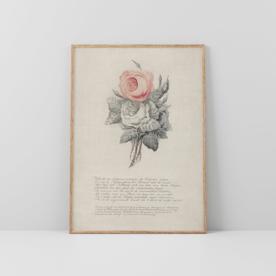 Vintage Botanical Drawing Antique Rustic Rose Painting - Etsy
