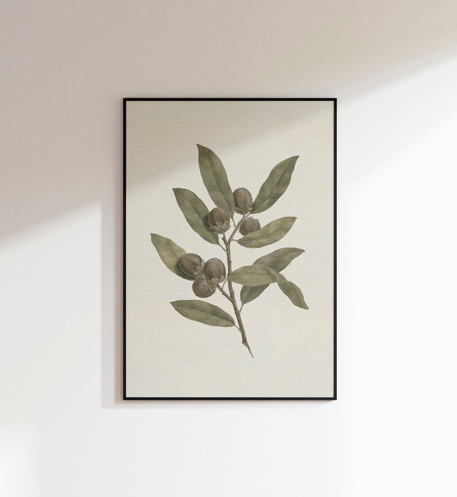 Vintage Botanical Branch Drawing Antique Neutral Wall Art Branch ...