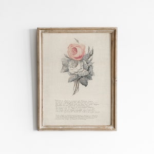 Vintage Botanical Drawing Antique Rustic Rose Painting Floral Plant ...