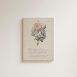 Vintage Botanical Drawing | Antique Rustic Rose Painting | Floral Plant ...