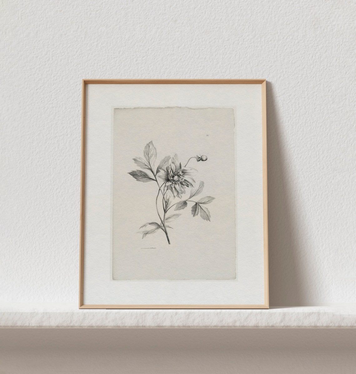 Vintage Botanical Sketch Art Vintage Floral Sketch Neutral - Etsy