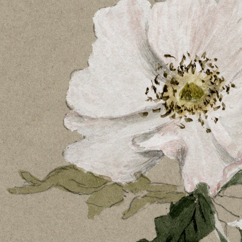 Vintage Muted Floral Drawing Printable Floral Watercolor Antique Flower ...